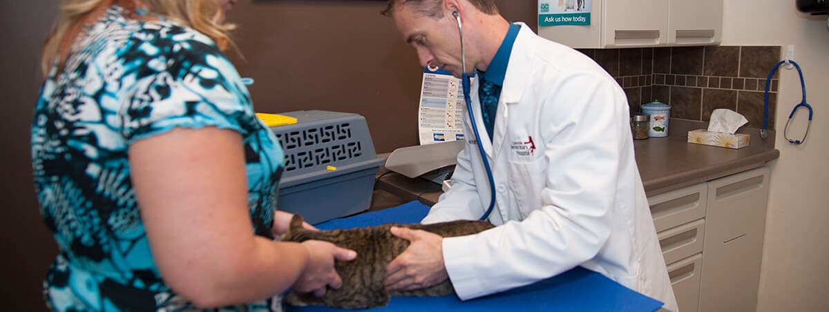 Camrose Alberta Veterinarian | Camrose Veterinary Hospital